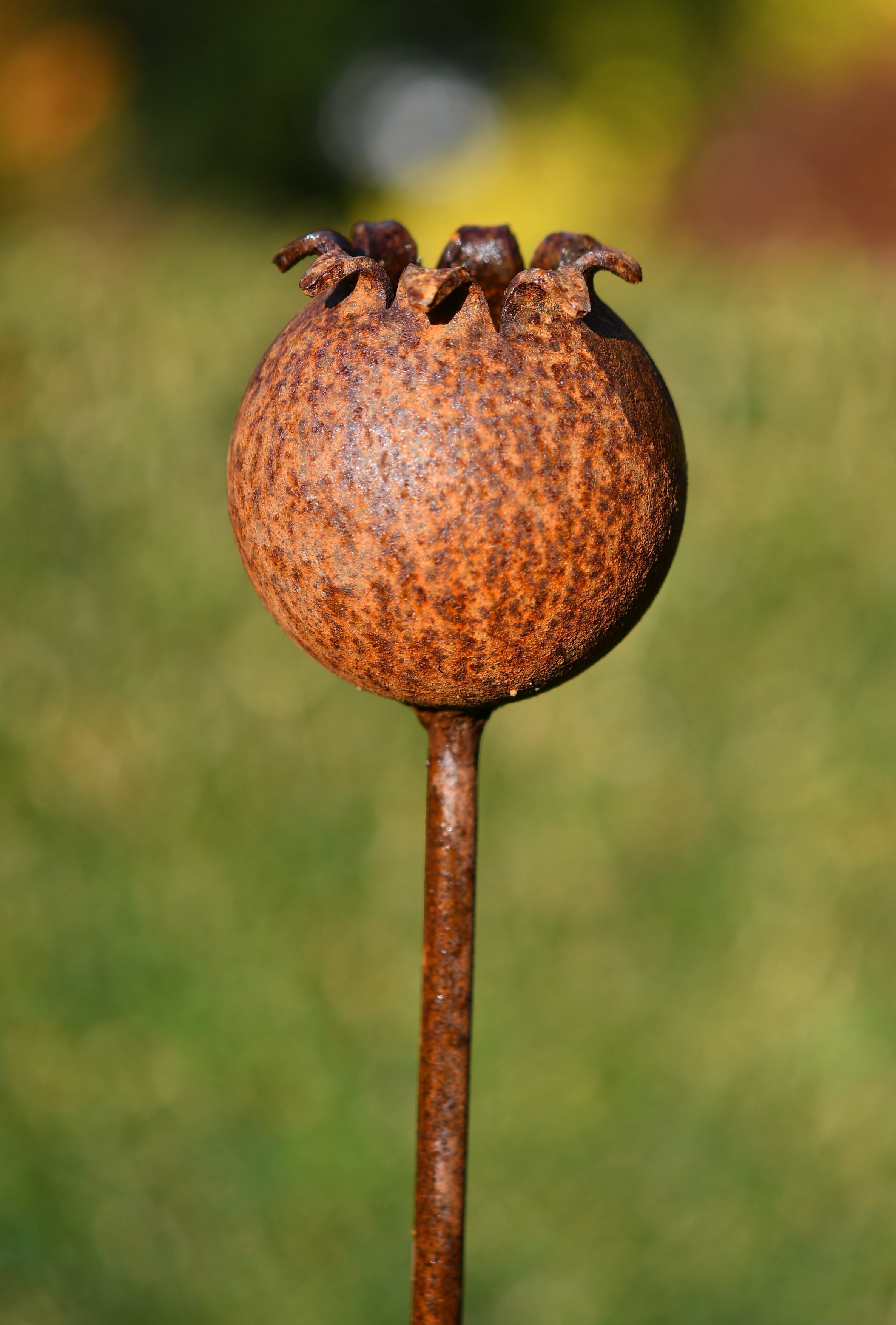 Rusty Metal Flower Garden Ornaments - Metal Flowers For Garden ...