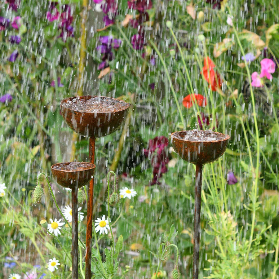 Rain Catchers For Gardens | Savage Works – savageworksuk